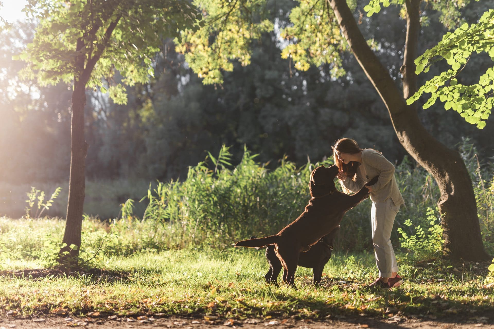 How Much Exercise Does A Dog Need Everyday Pets Tutorial How Much Exercise Does A Dog Need Everyday Pets Tutorial